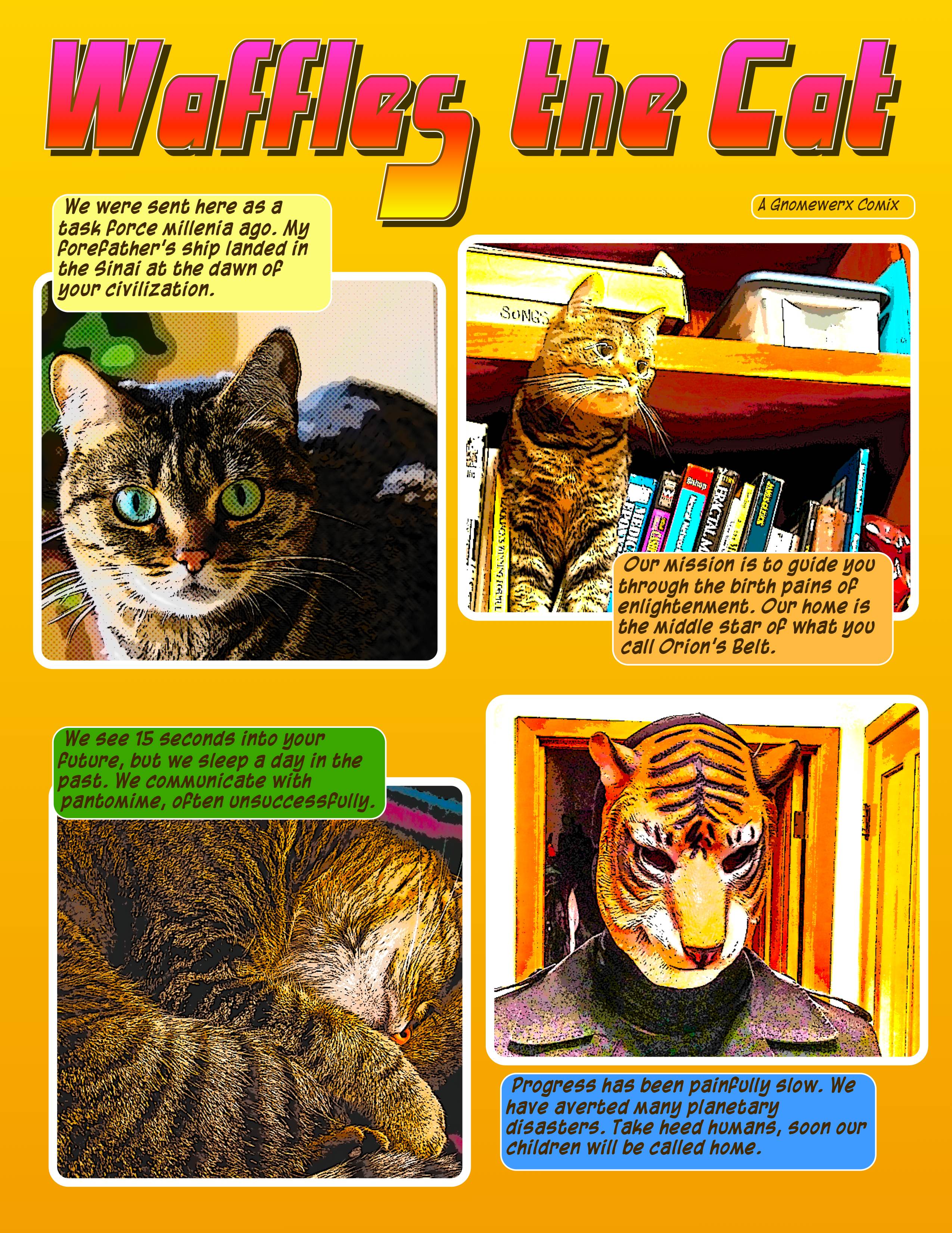 Waffles the Cat copy – William J Wood Jr